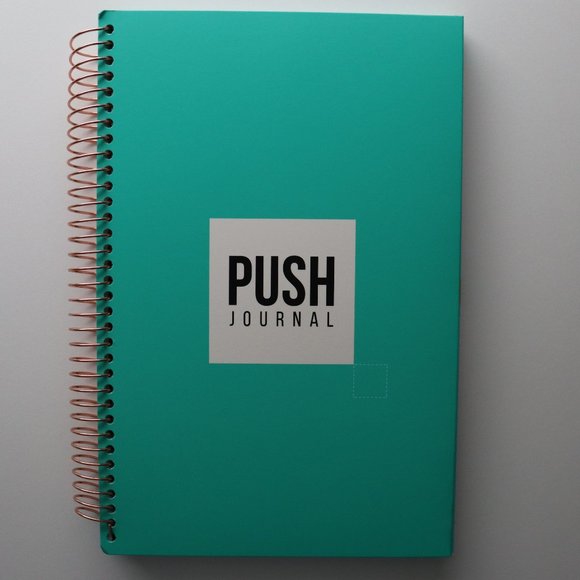 Chalene Johnson PUSH Journal | Office | Push Journal Daily Planner Habit Tracker | Poshmark
